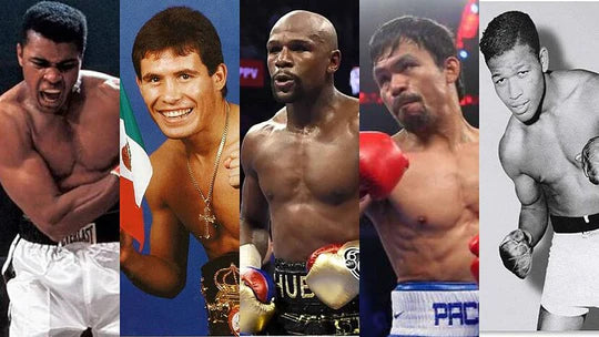 Top 7 Greatest Boxers in History and Their Incredible Achievements ...